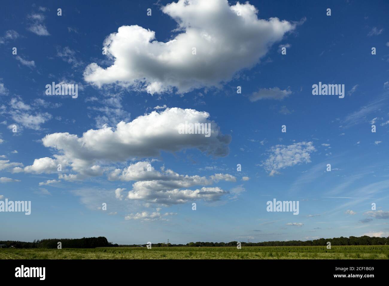 Flat land of Holland with dramatic clouds over farmland Stock Photo - Alamy