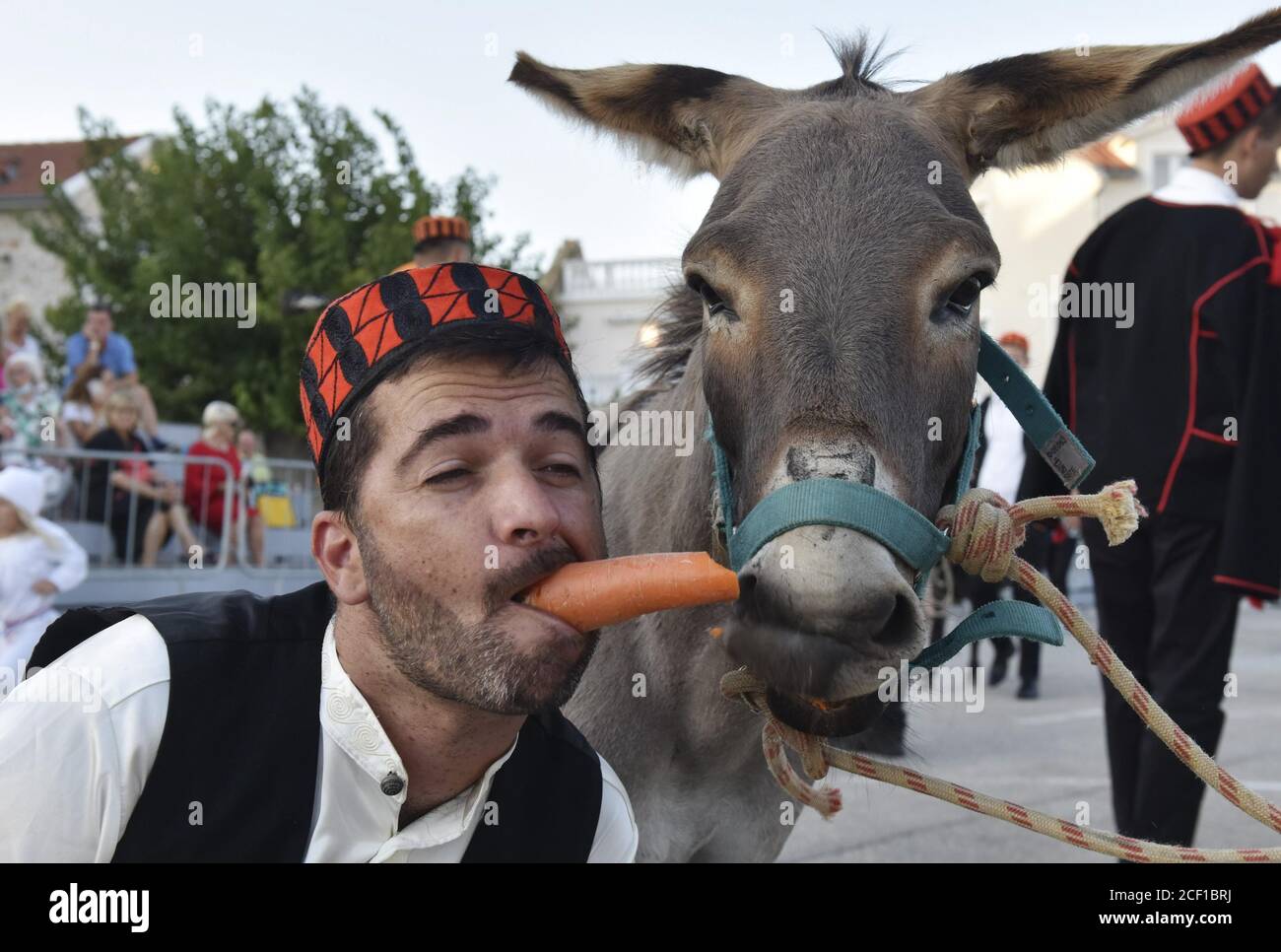 Donkey carrot hi-res stock photography and images - Alamy