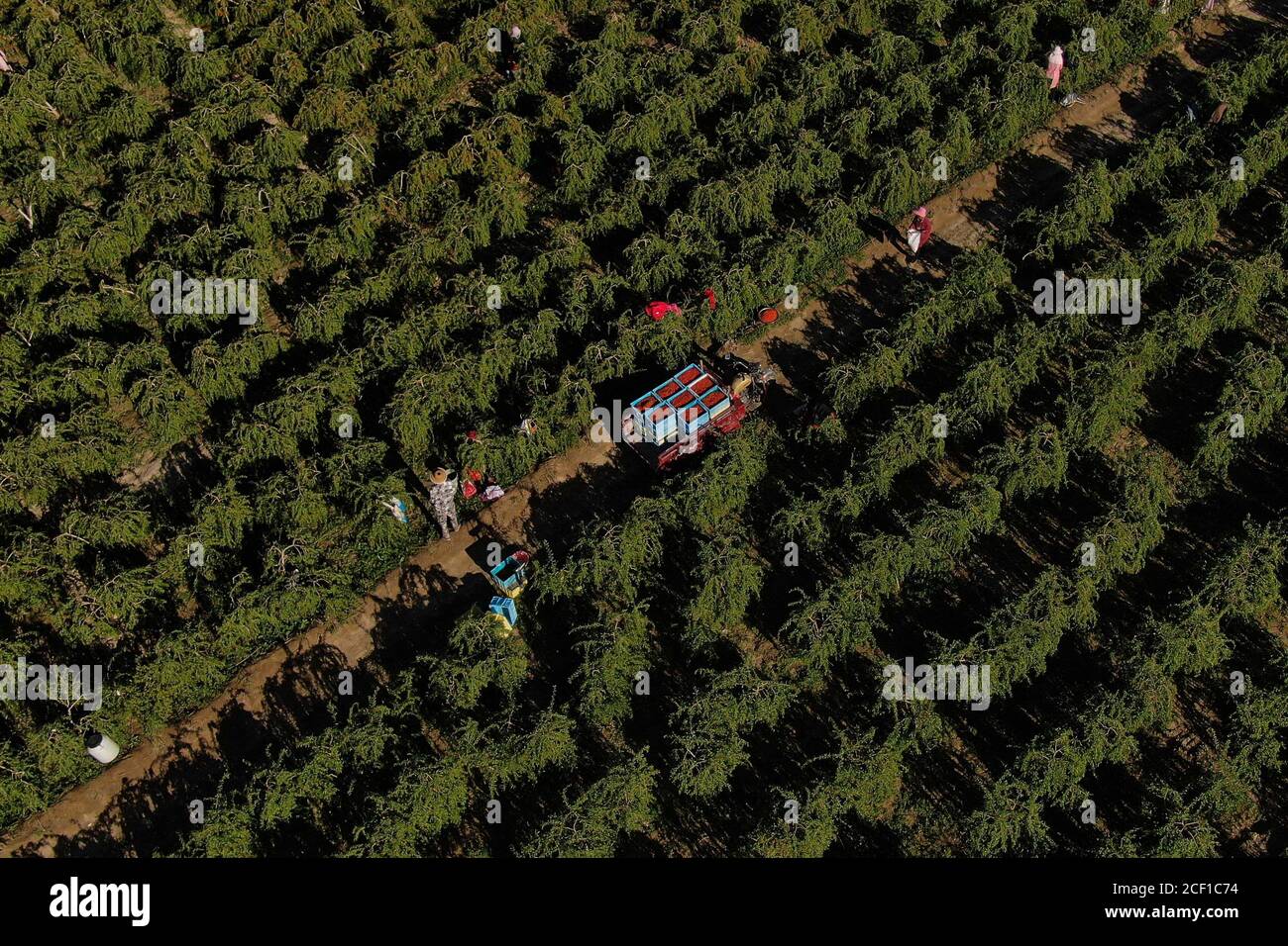 Qinghai and delingha hi-res stock photography and images - Alamy