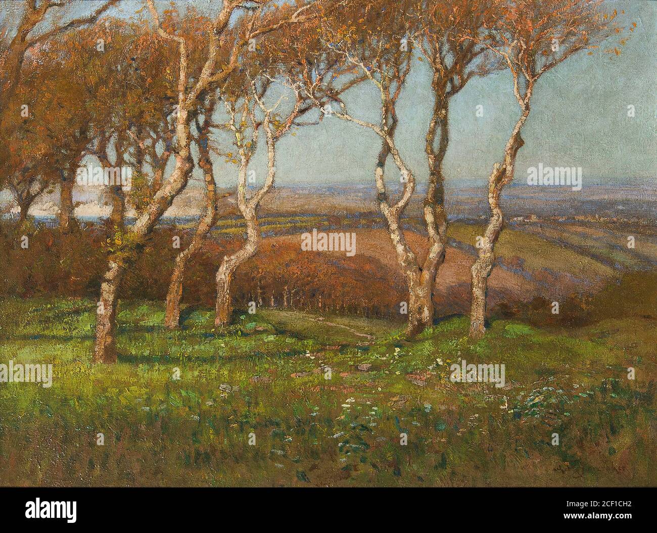 Foweraker Albert Moulton - Cove Through the Trees - British School ...