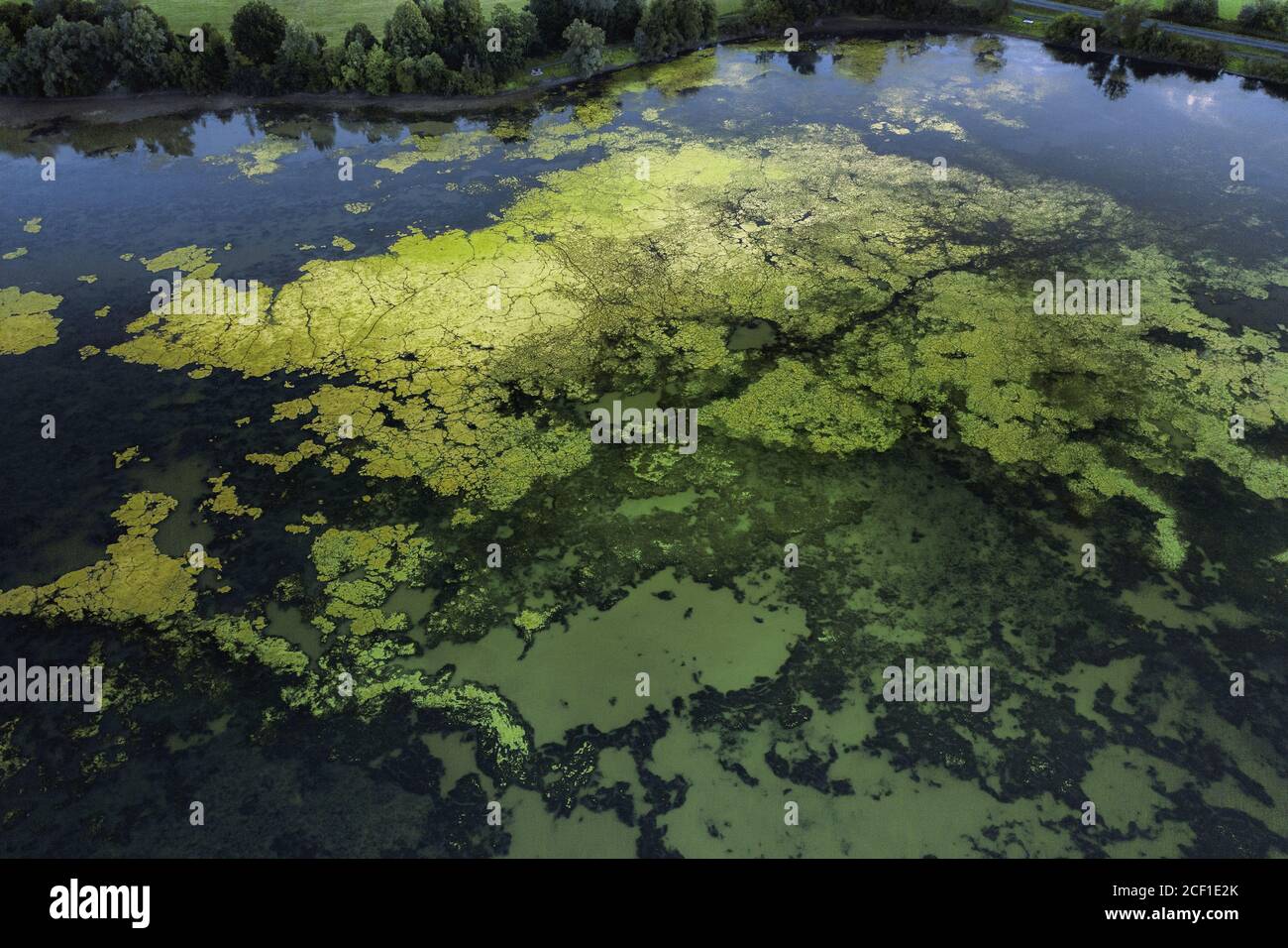 Aerial shot of algal bloom on a lake Stock Photo - Alamy