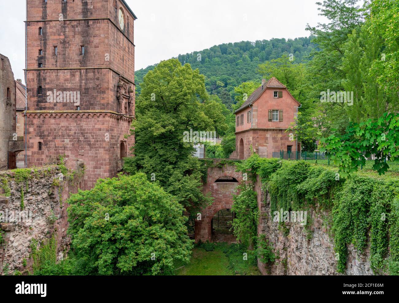 The Heidelberg Castle ruins in Germany at summer time Stock Photo - Alamy
