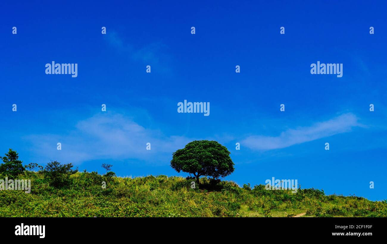 Ma on shan country park hi-res stock photography and images - Alamy