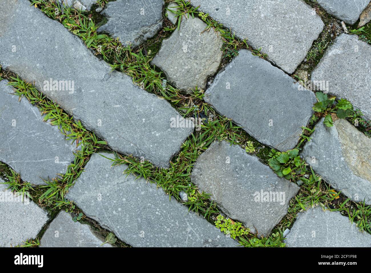 Road surface made brown hi-res stock photography and images - Alamy