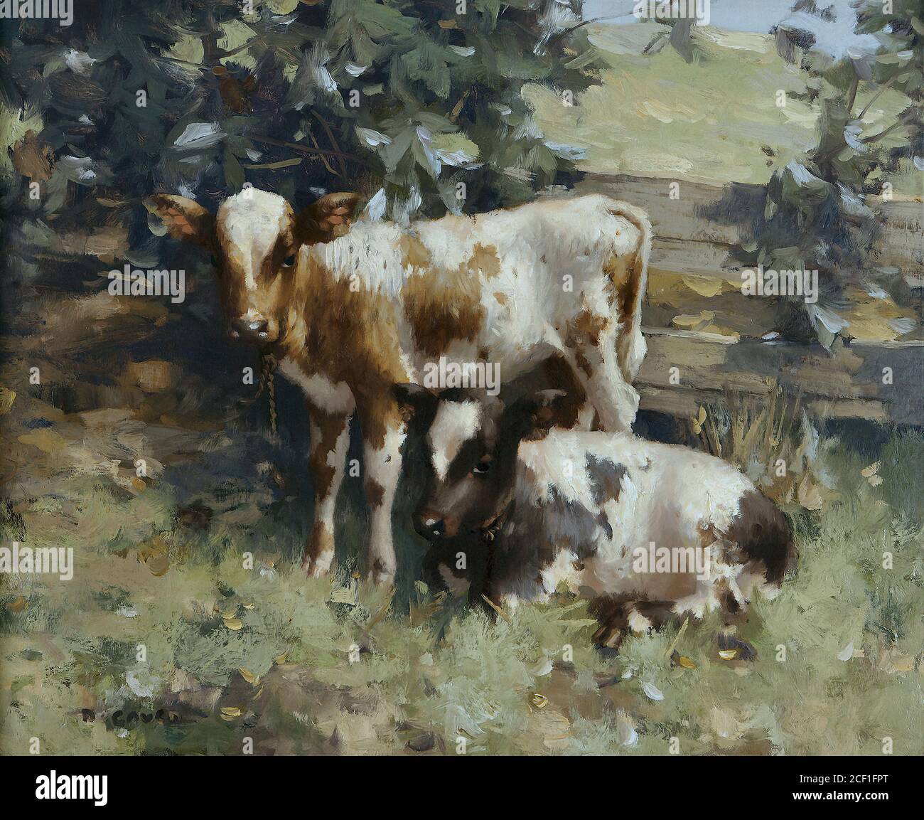 Gauld David - Two Calves 2 - British School - 19th Century Stock Photo ...