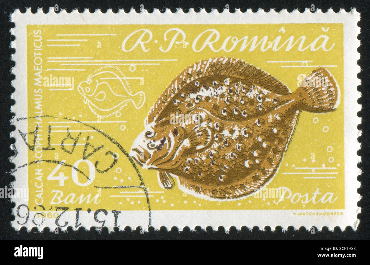 ROMANIA - CIRCA 1960: stamp printed by Romania, show fish, Black Sea ...