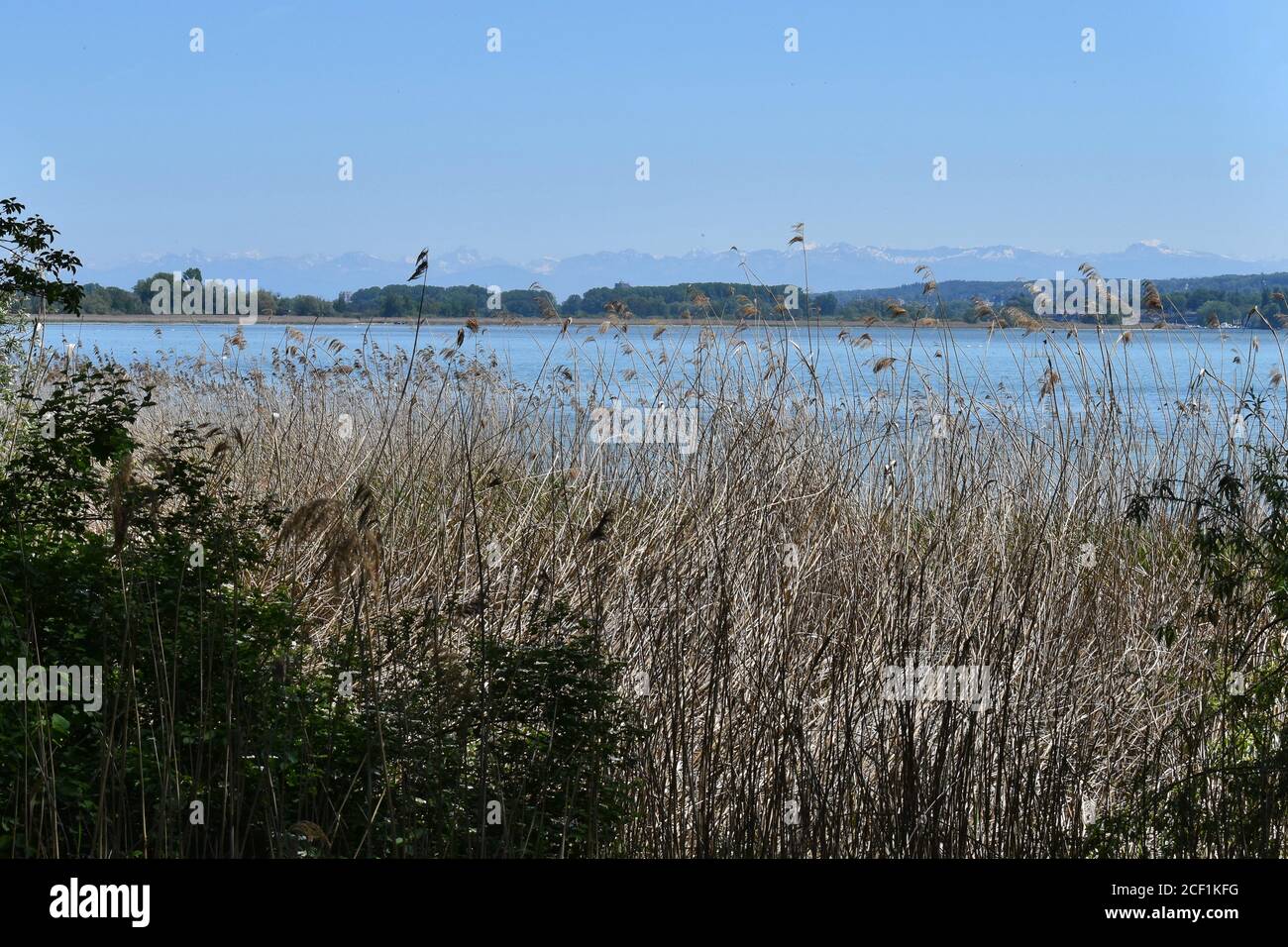 Reichenau insel hi-res stock photography and images - Alamy