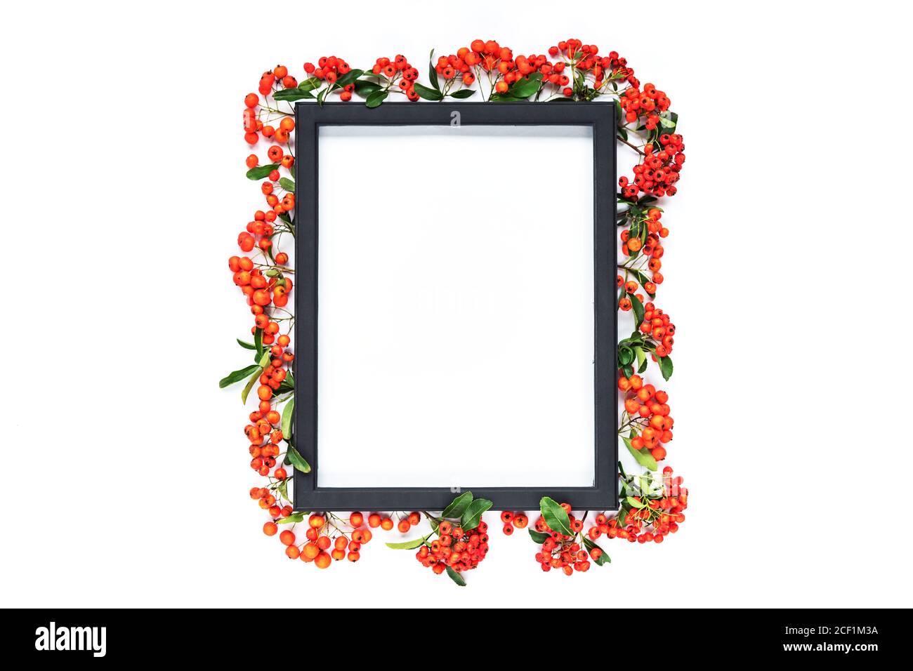 Thanksgiving day nature background Cut Out Stock Images & Pictures - Alamy