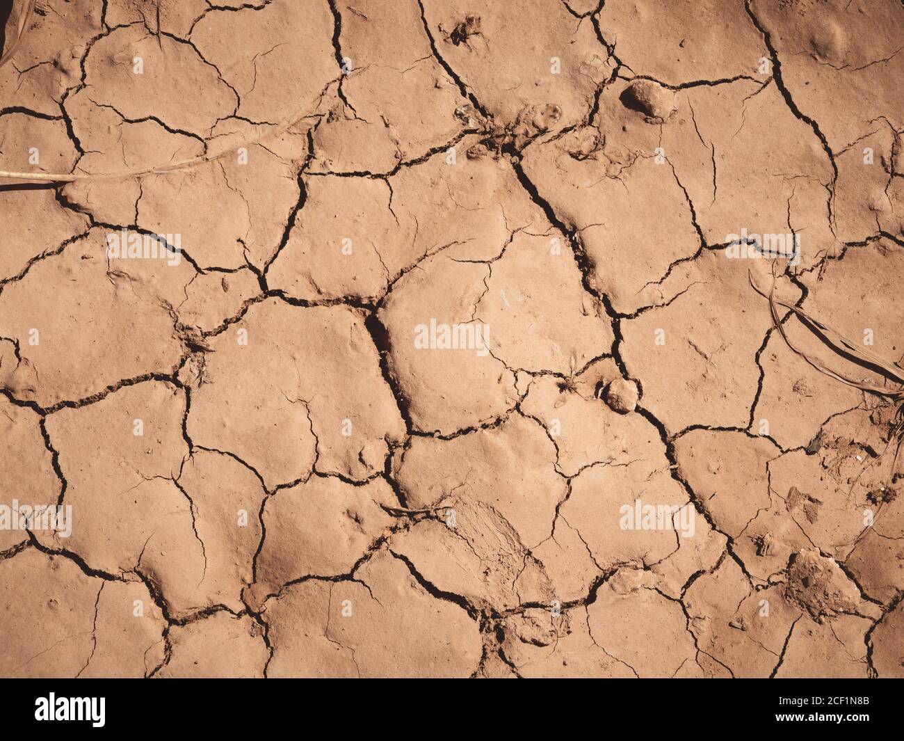 Top view of brown cracked ground for backgrounds Stock Photo - Alamy