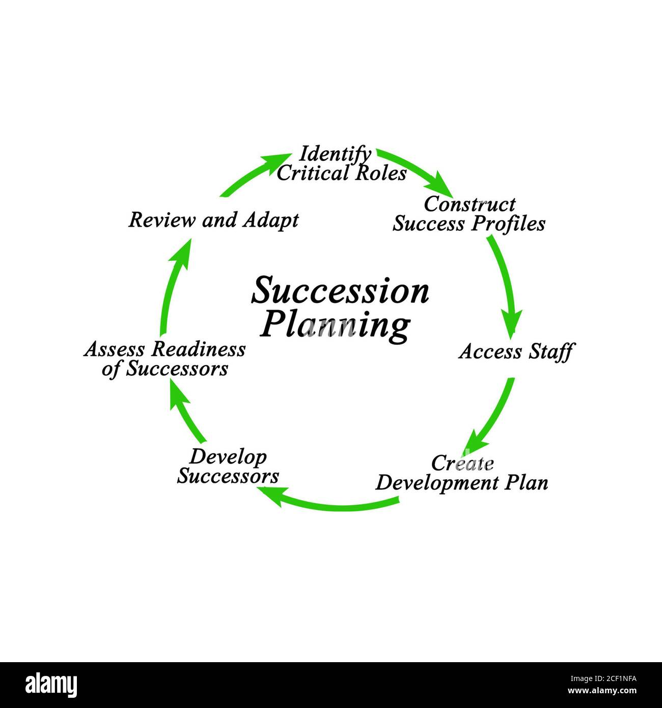 Seven Components of Succession Planning Stock Photo - Alamy