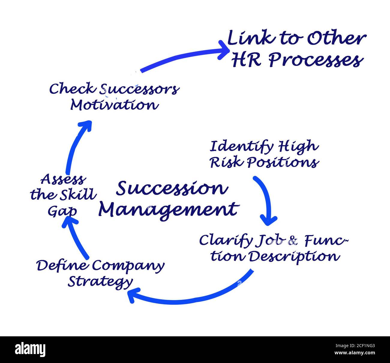 Six Components of Succession Management Stock Photo - Alamy