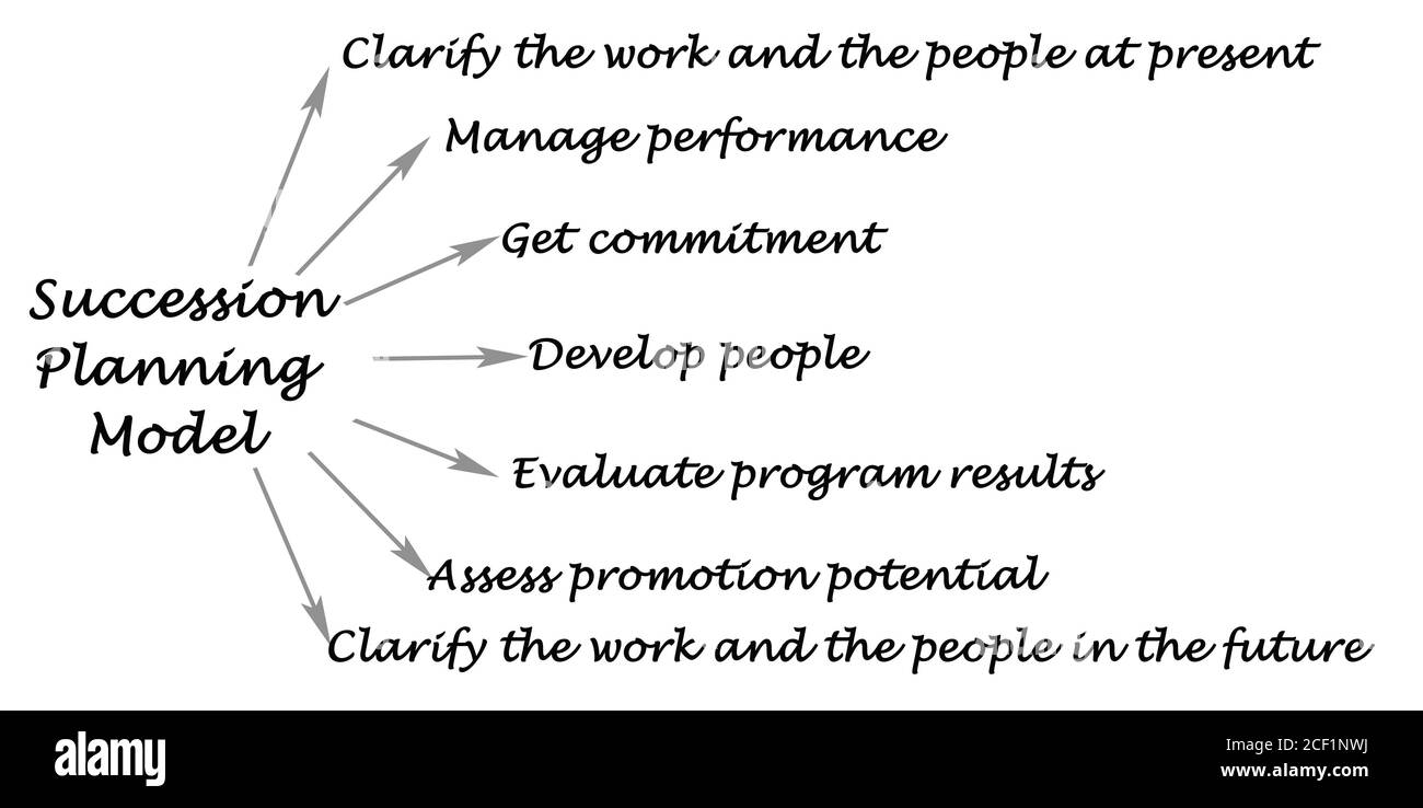 Succession Model