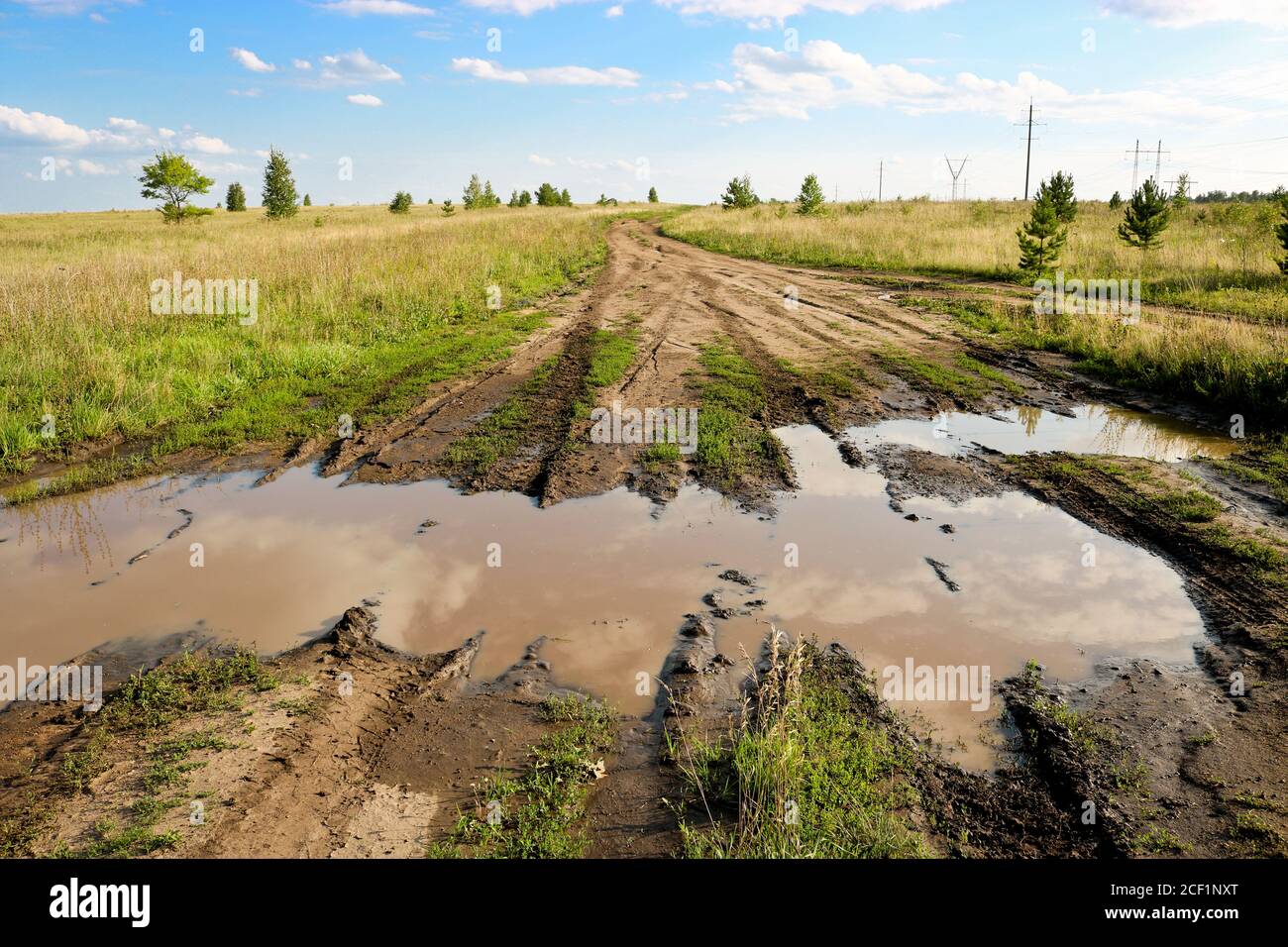 Summer landscape - field road with a large puddle and mud among meadows ...