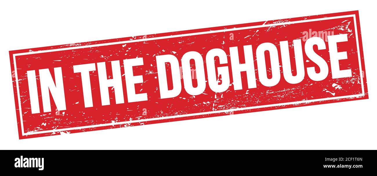 IN THE DOGHOUSE text on red grungy rectangle stamp sign Stock Photo - Alamy