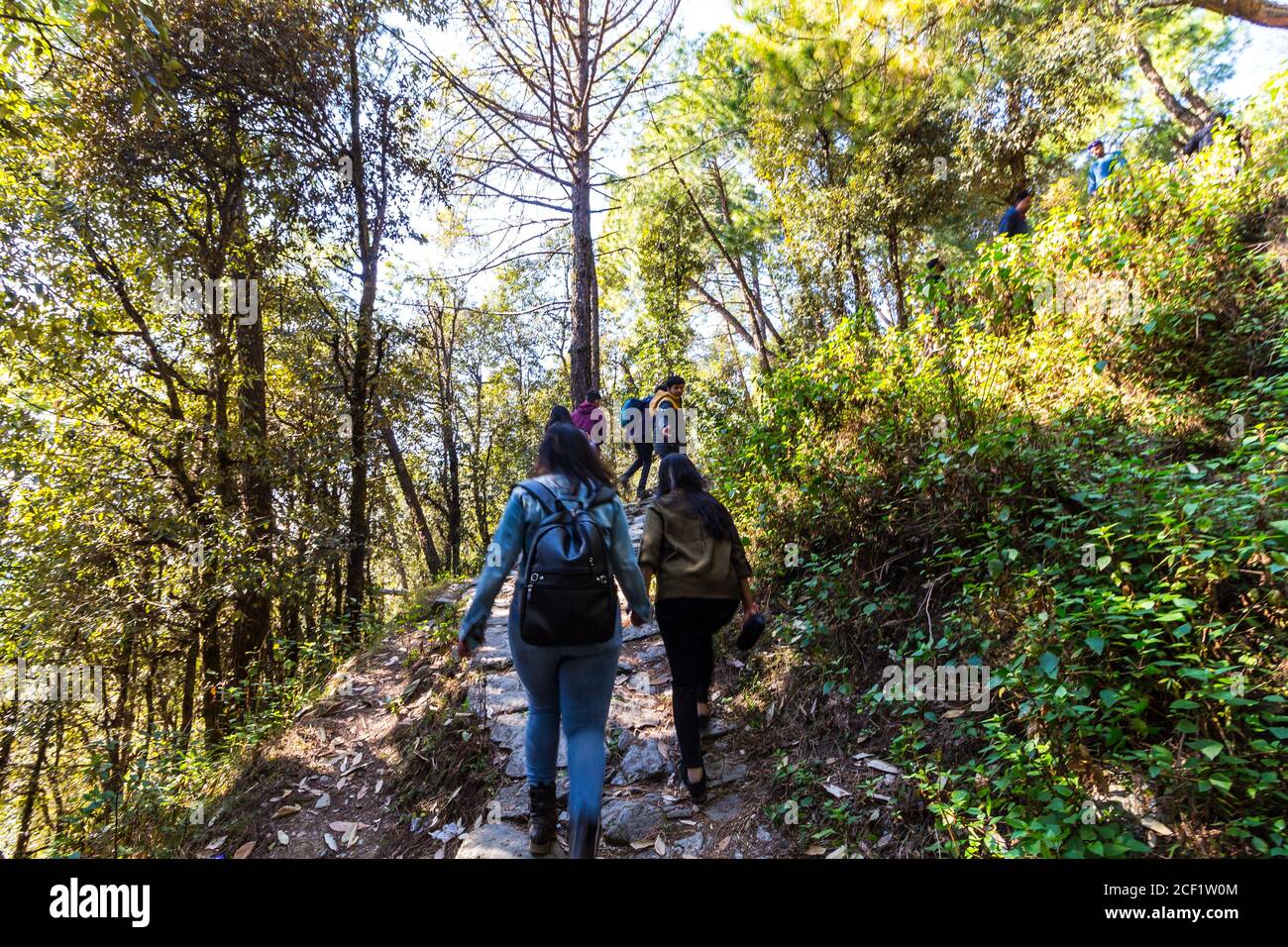 Bir Village from a high trekking point in Himachal Pradesh, India. Bir ...