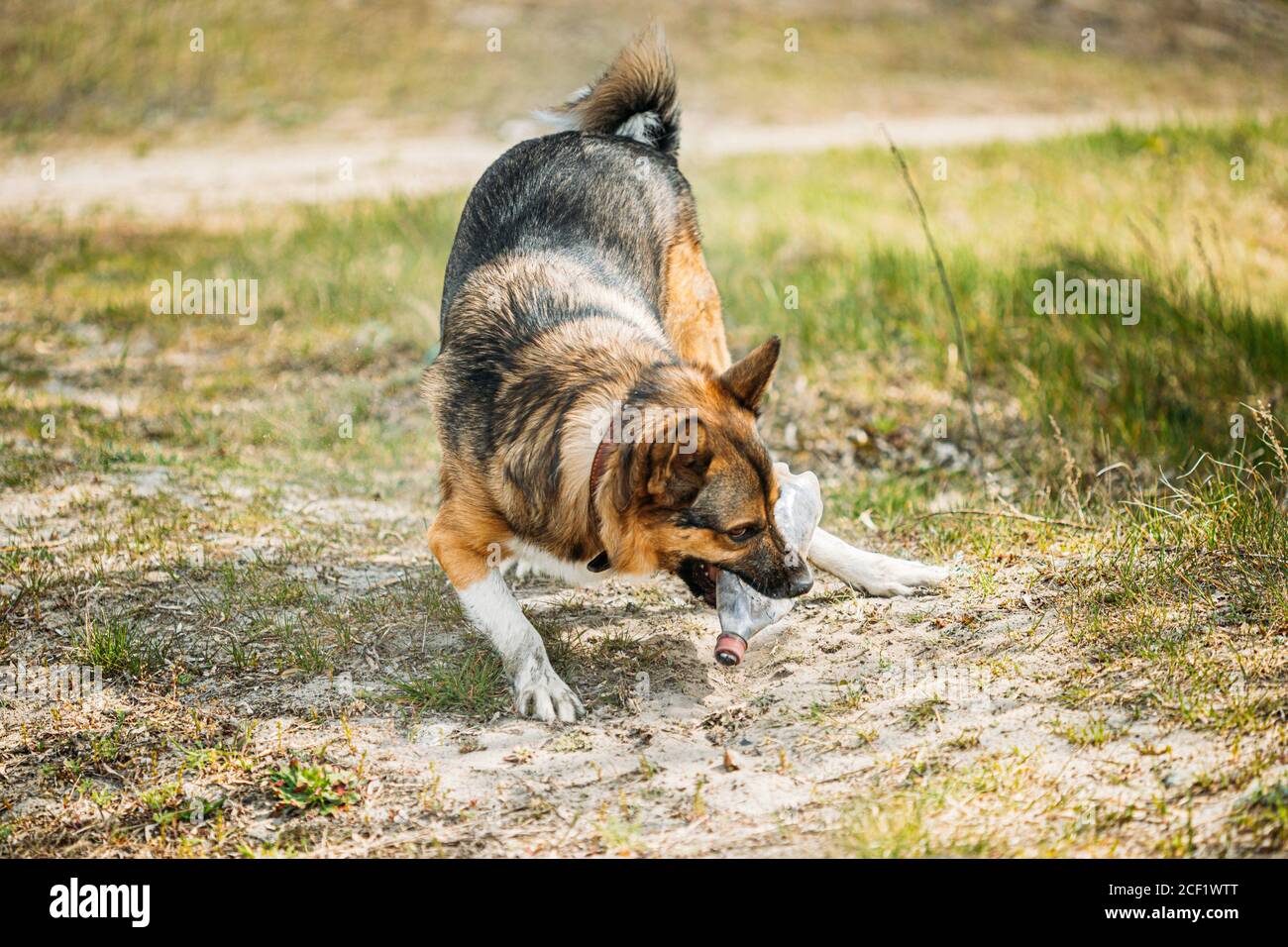 Plastic bottle rubbish hi-res stock photography and images - Alamy