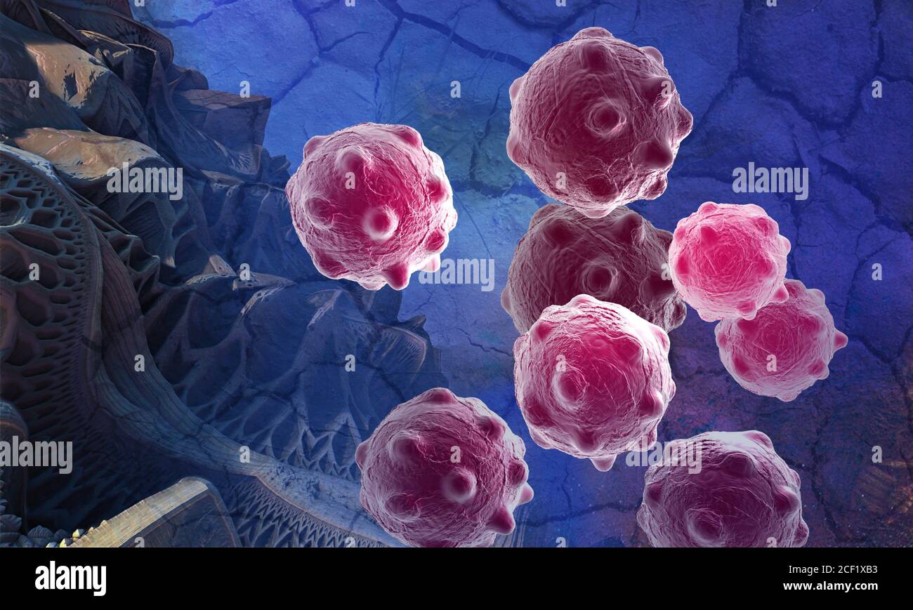 Cancer Structure High Resolution Stock Photography and Images - Alamy