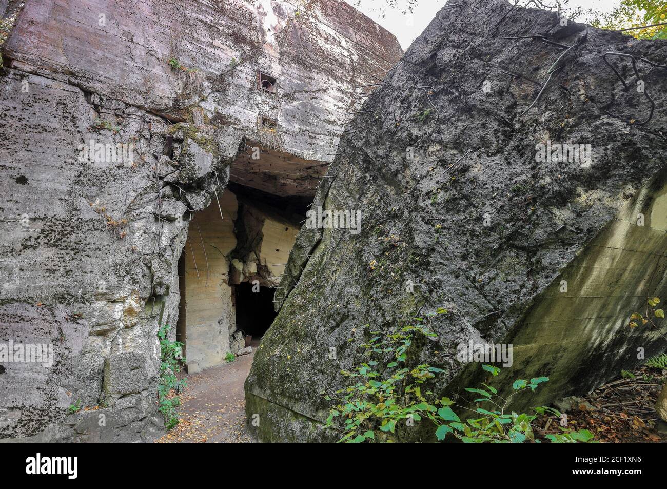 Hitlers wolfs lair hi-res stock photography and images - Alamy