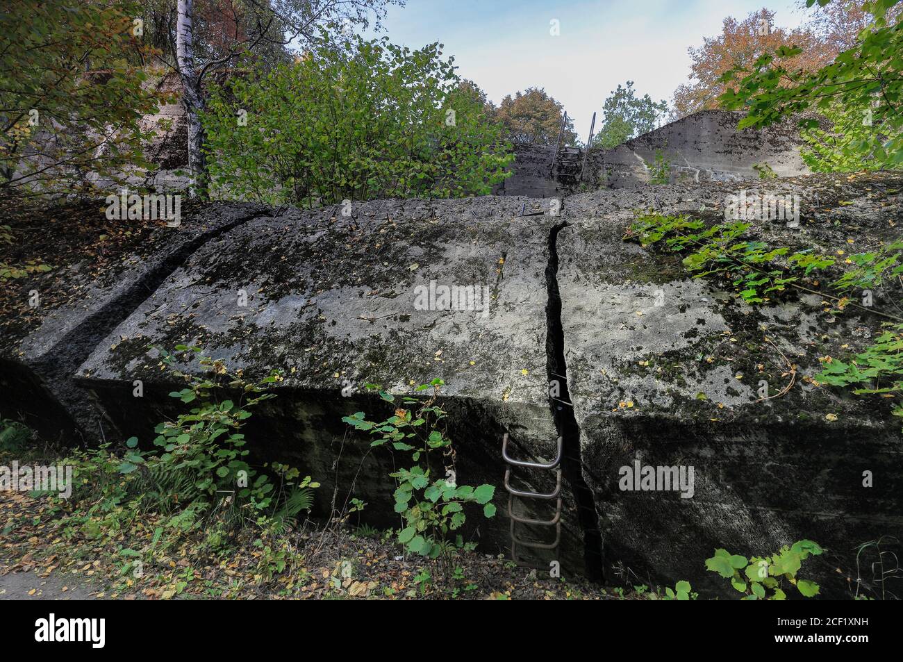 Hitlers wolfs lair hi-res stock photography and images - Alamy