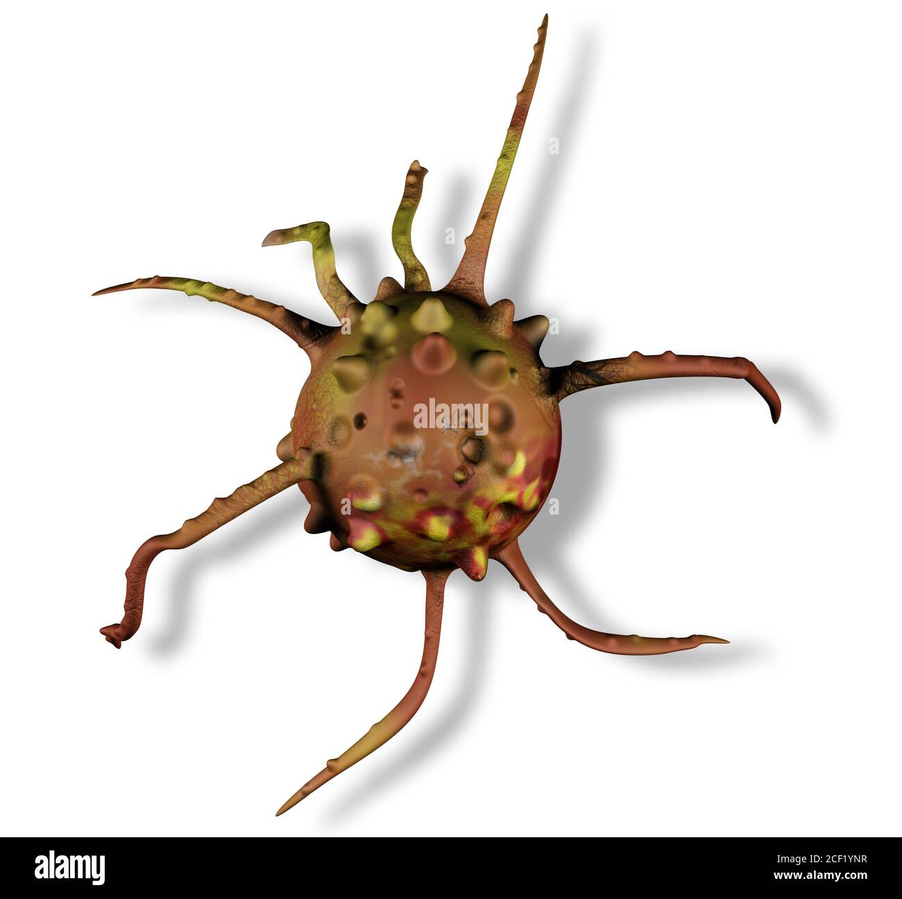 Cancer cell white background hi-res stock photography and images - Alamy