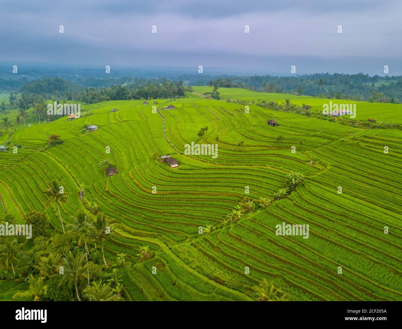 Rice paddies aerial hi-res stock photography and images - Alamy