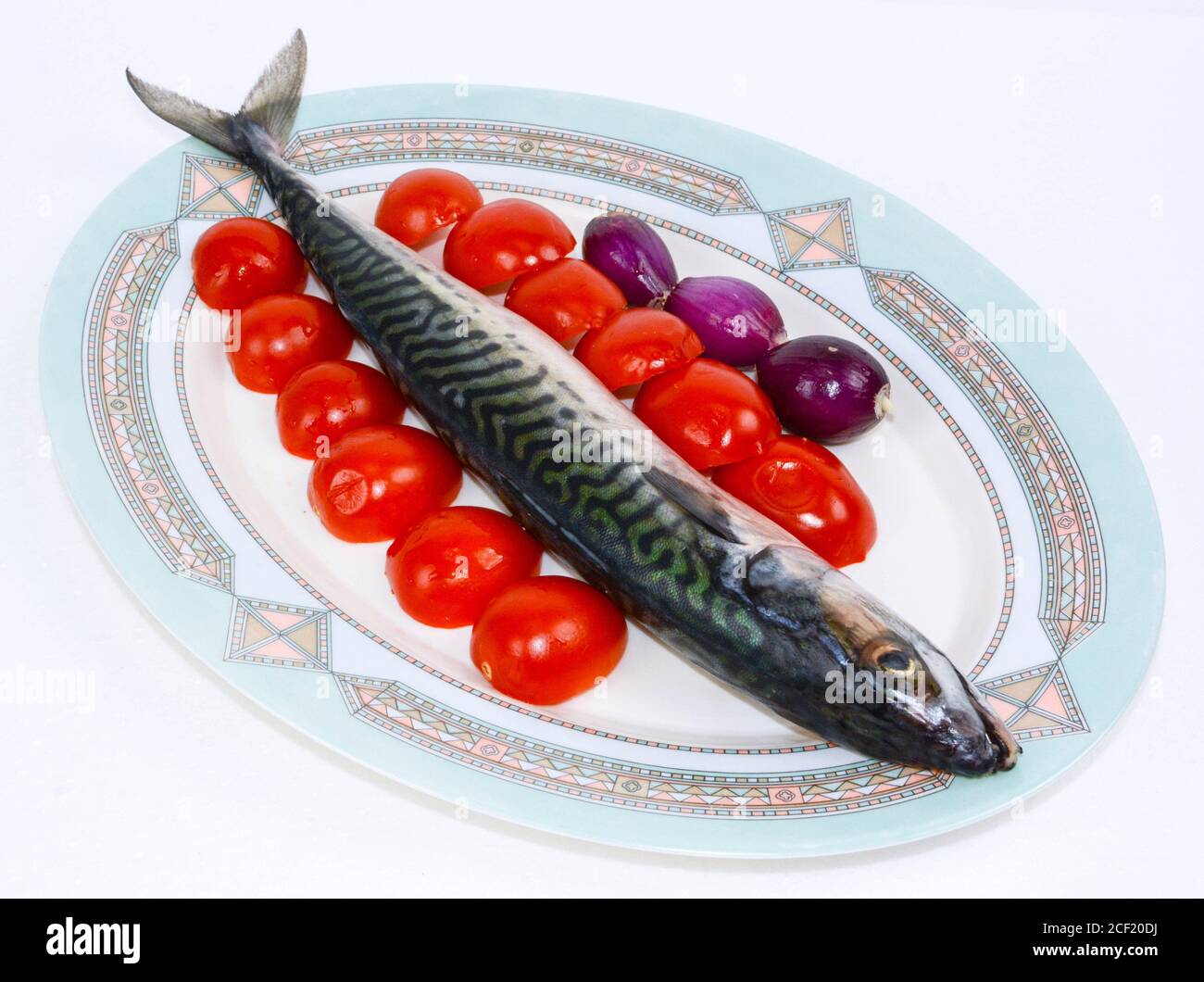 Bluefish hi-res stock photography and images - Alamy