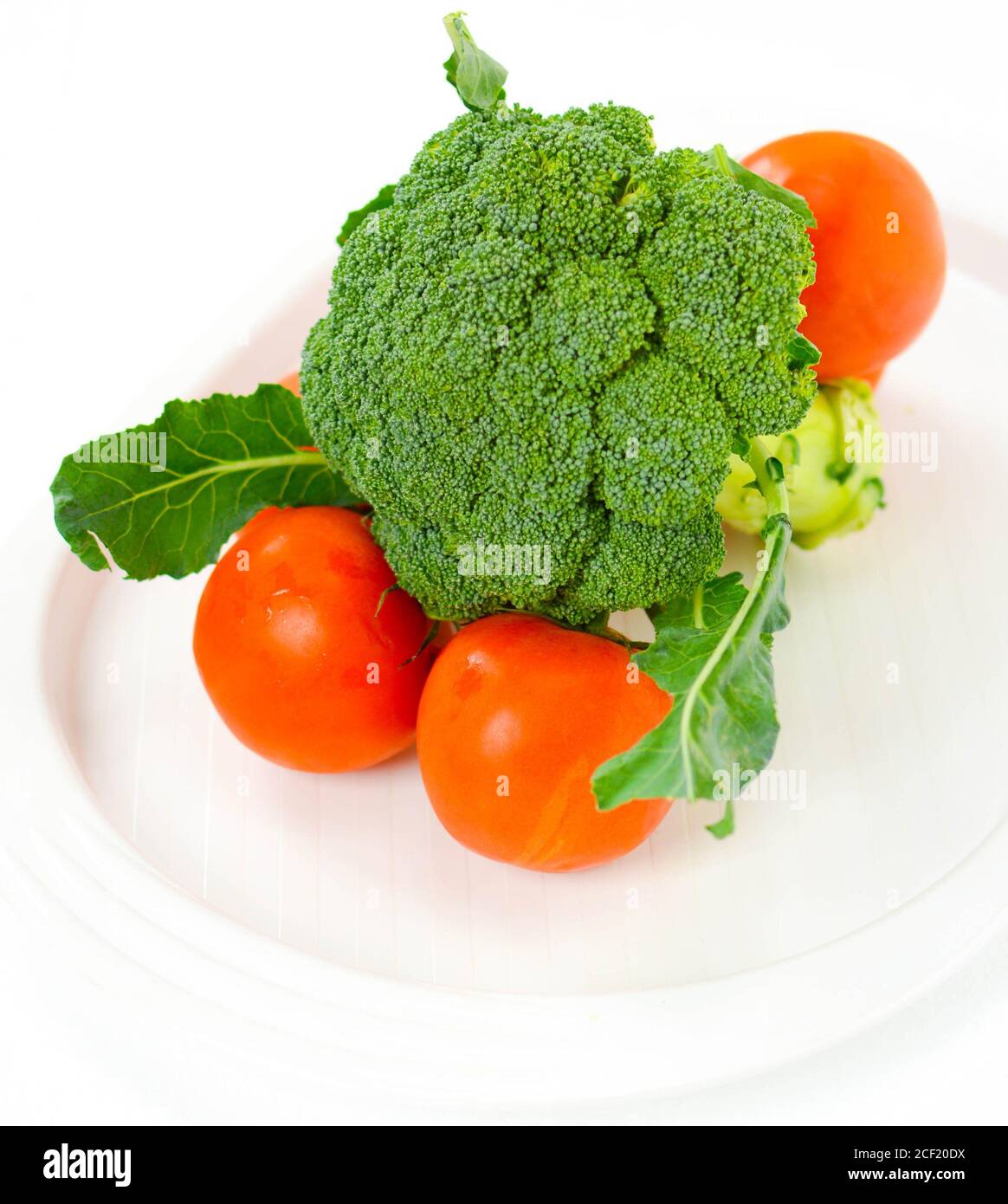 Long_life hi-res stock photography and images - Alamy