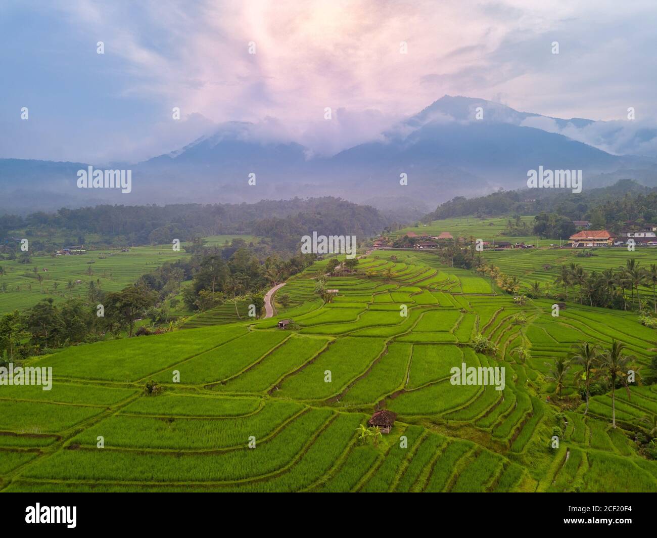 Indonesia. Bali Island. Evening over the rice terraces. Fog in the ...