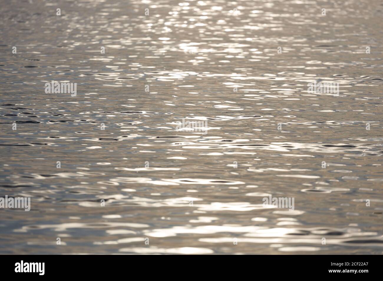 golden water with ripples. lake at sunset. background for design Stock ...