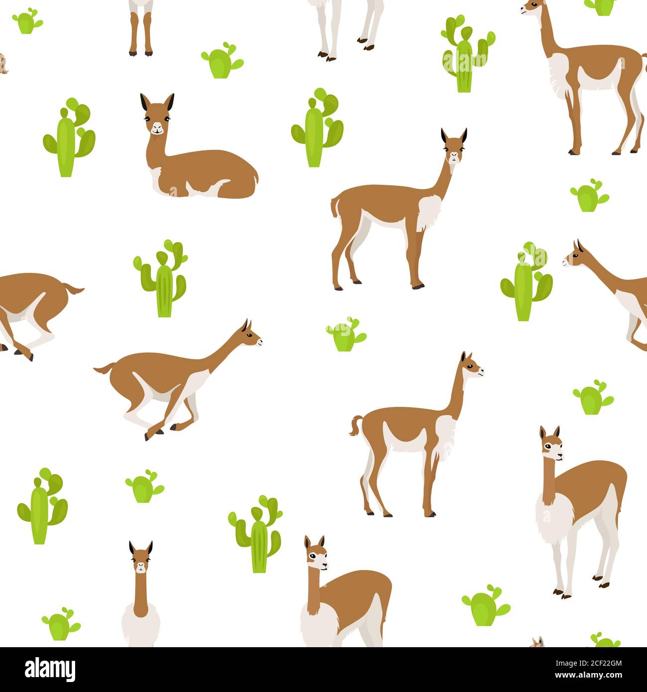 Camelids family collection. Vicuna graphic design. Vector illustration ...