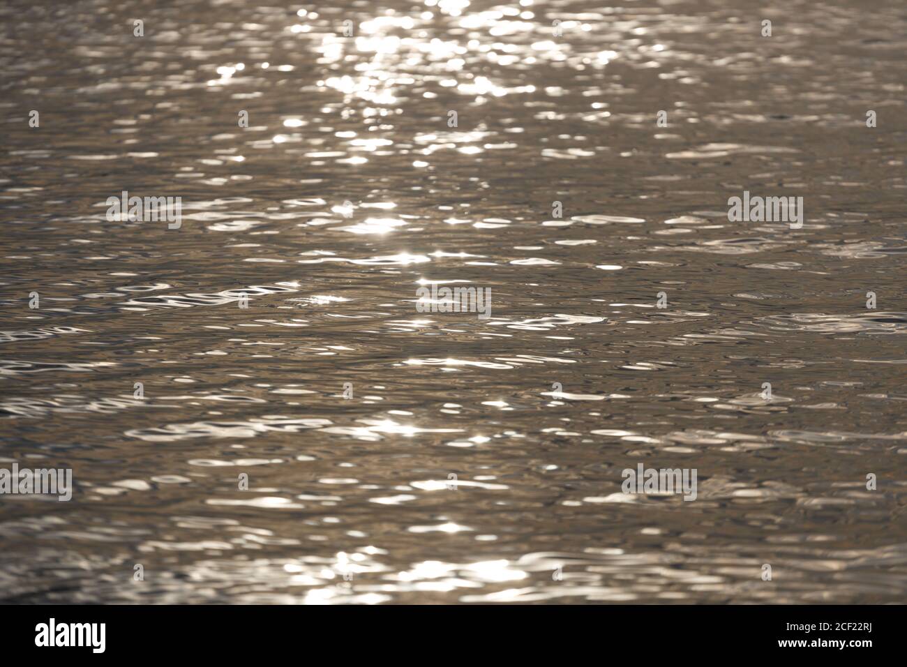 golden water with ripples. lake at sunset. background for design Stock ...