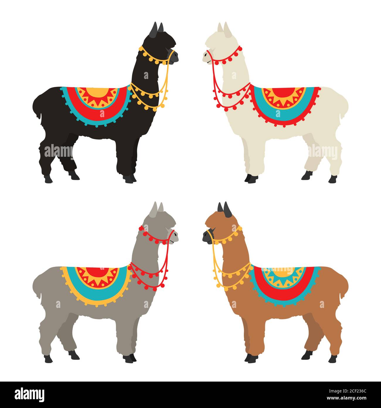 Camelids family collection. Alpaca graphic design. Vector illustration Stock Vector Image & Art ...