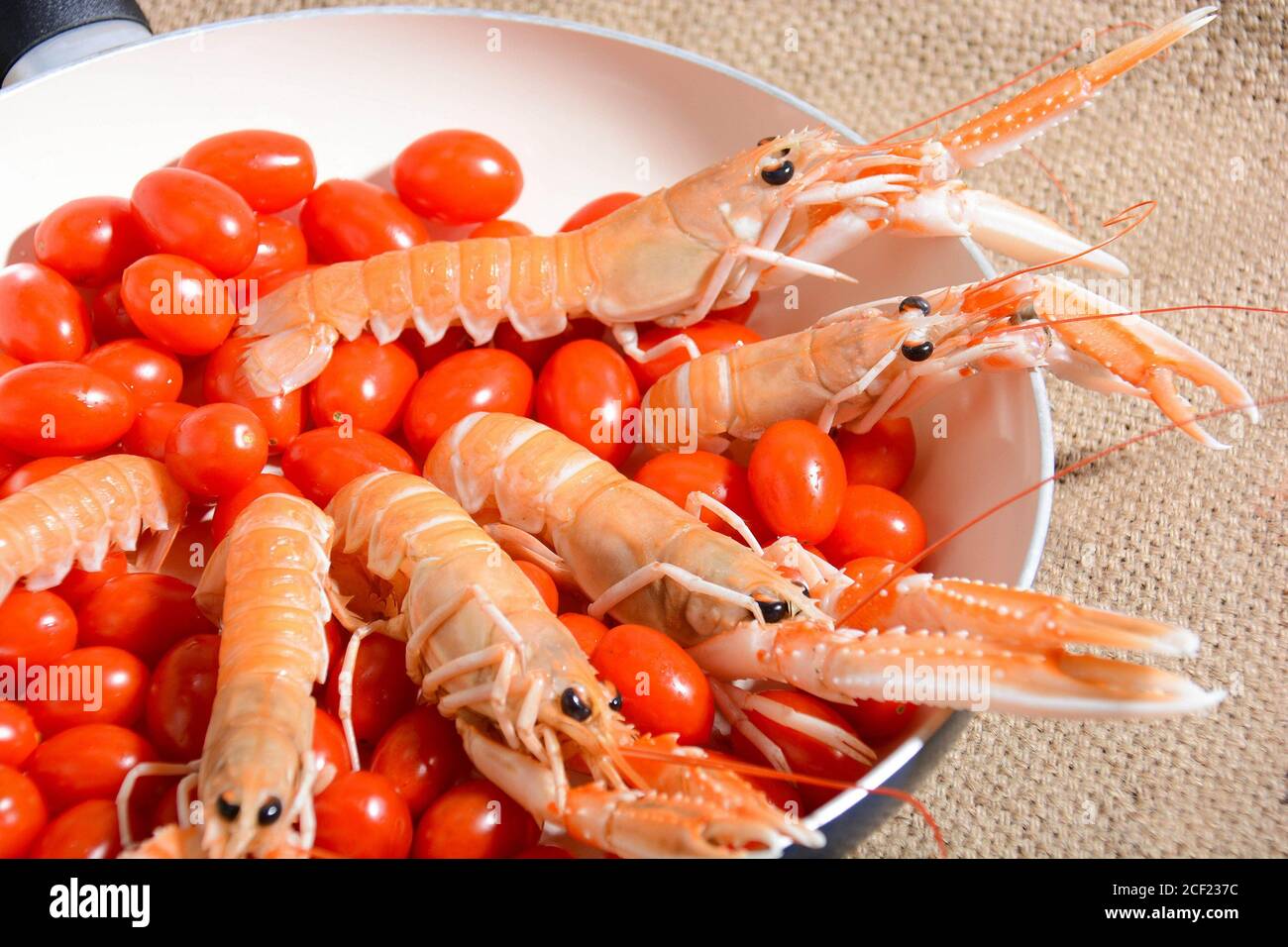 Special fish hi-res stock photography and images - Alamy