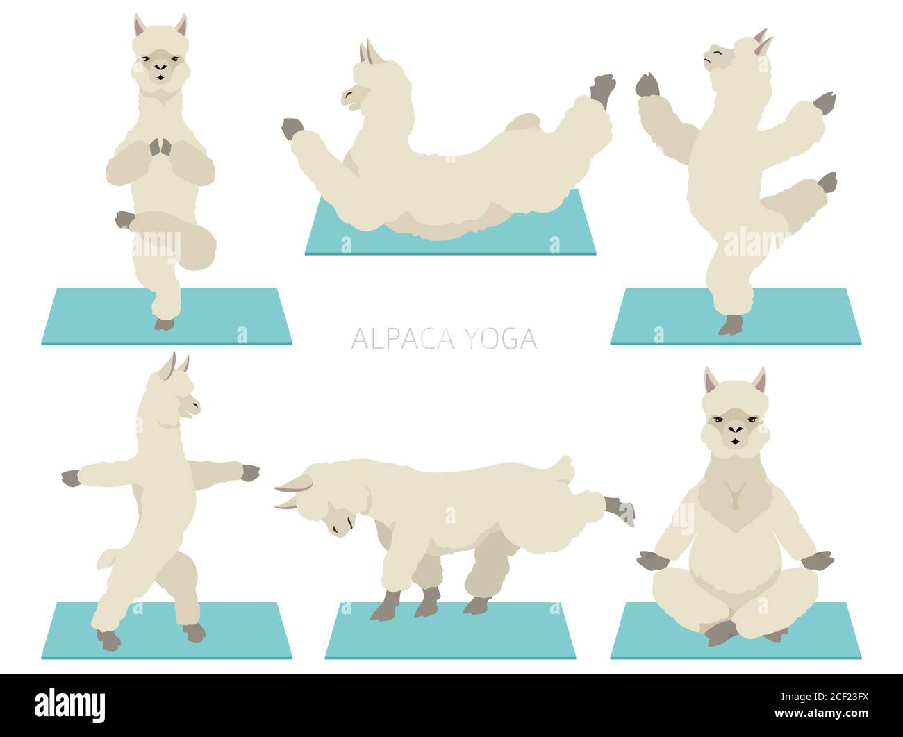 Camelids family collection. Alpaca yoga graphic design. Vector ...