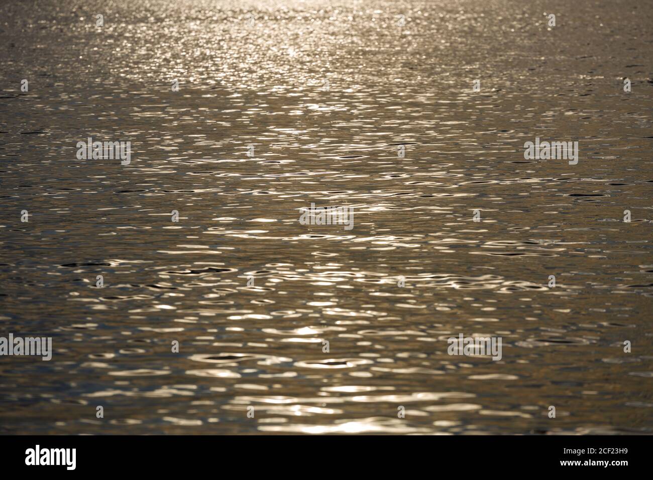 golden water with ripples. lake at sunset. background for design Stock ...