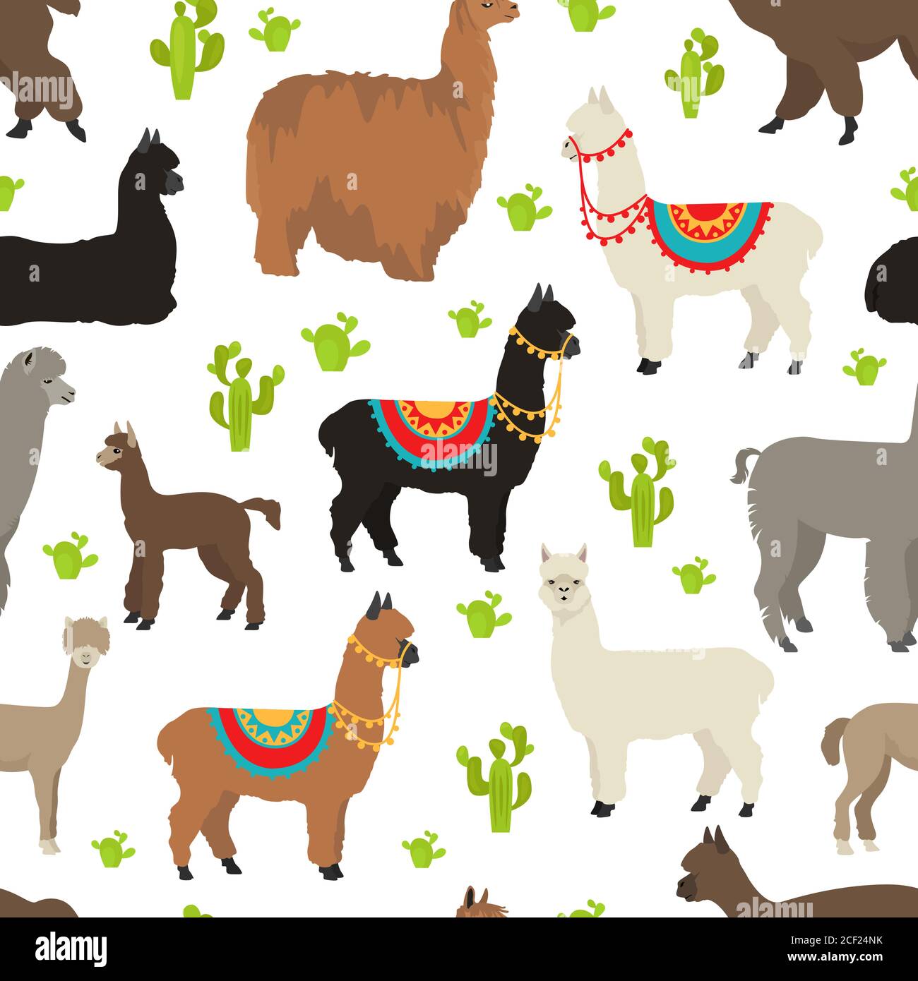 Camelids family collection. Alpaca graphic design. Vector illustration ...