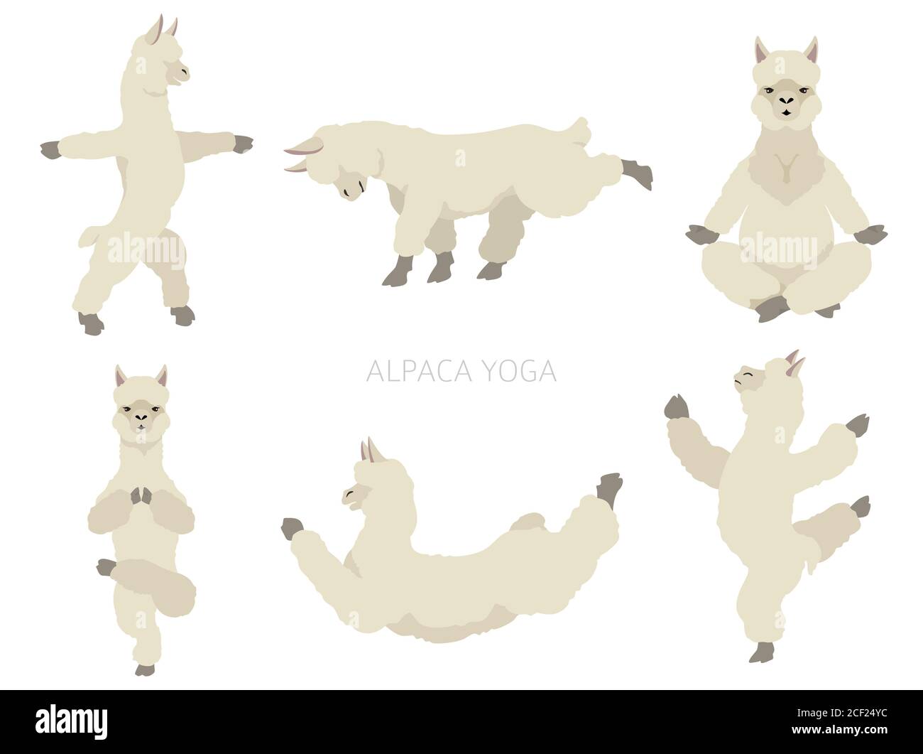 Camelids family collection. Alpaca yoga graphic design. Vector ...