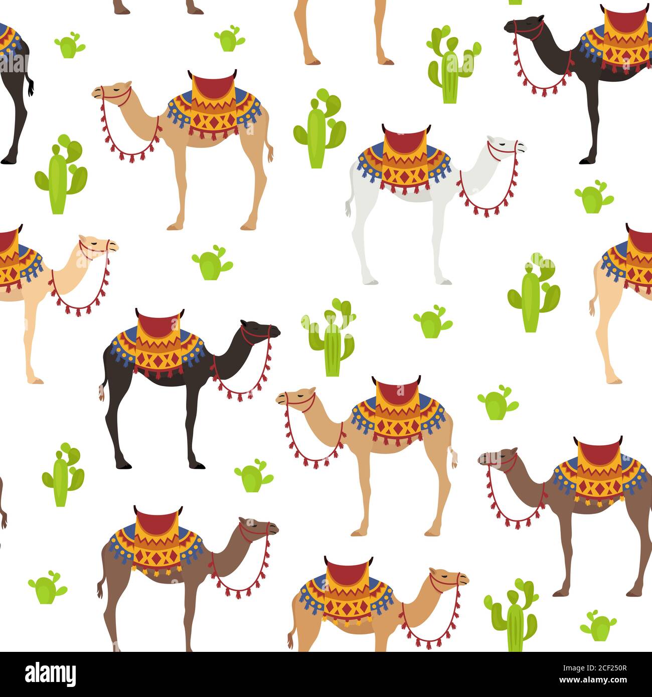 Camelids family collection. Dromedary camel seamless design. Vector ...