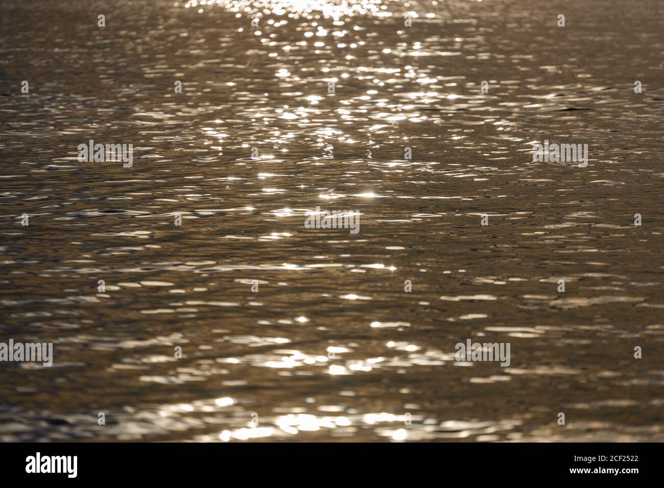 golden water with ripples. lake at sunset. background for design Stock ...