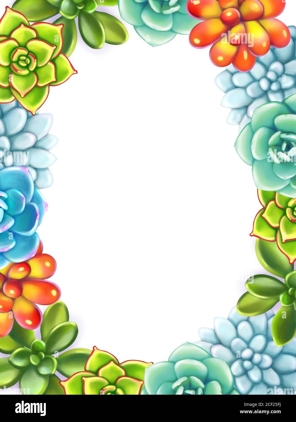 Floral Border. Succulents arranged un a shape of frame Stock Photo - Alamy