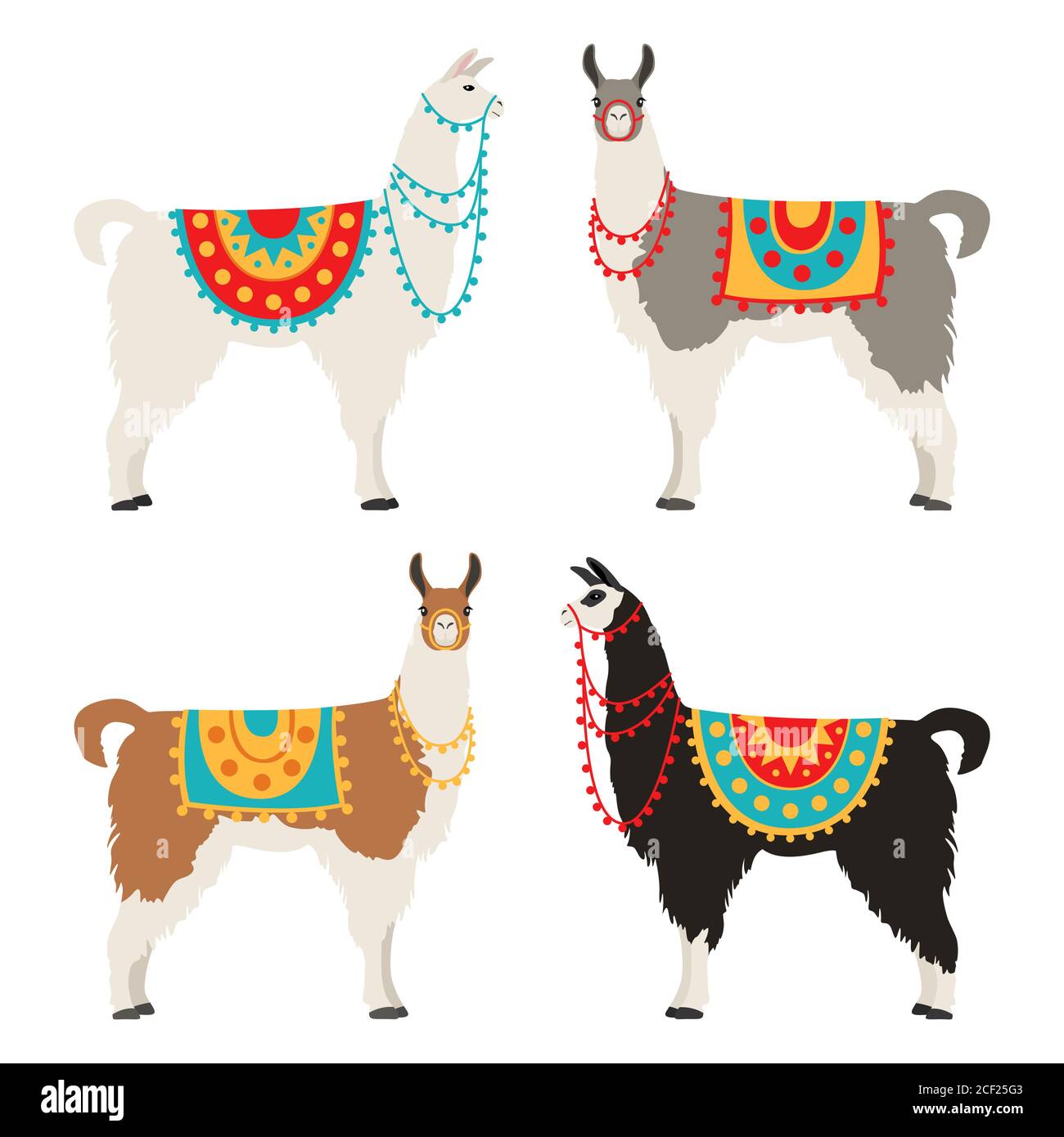 Camelids family collection. Llama graphic design. Vector illustration Stock Vector Image & Art ...
