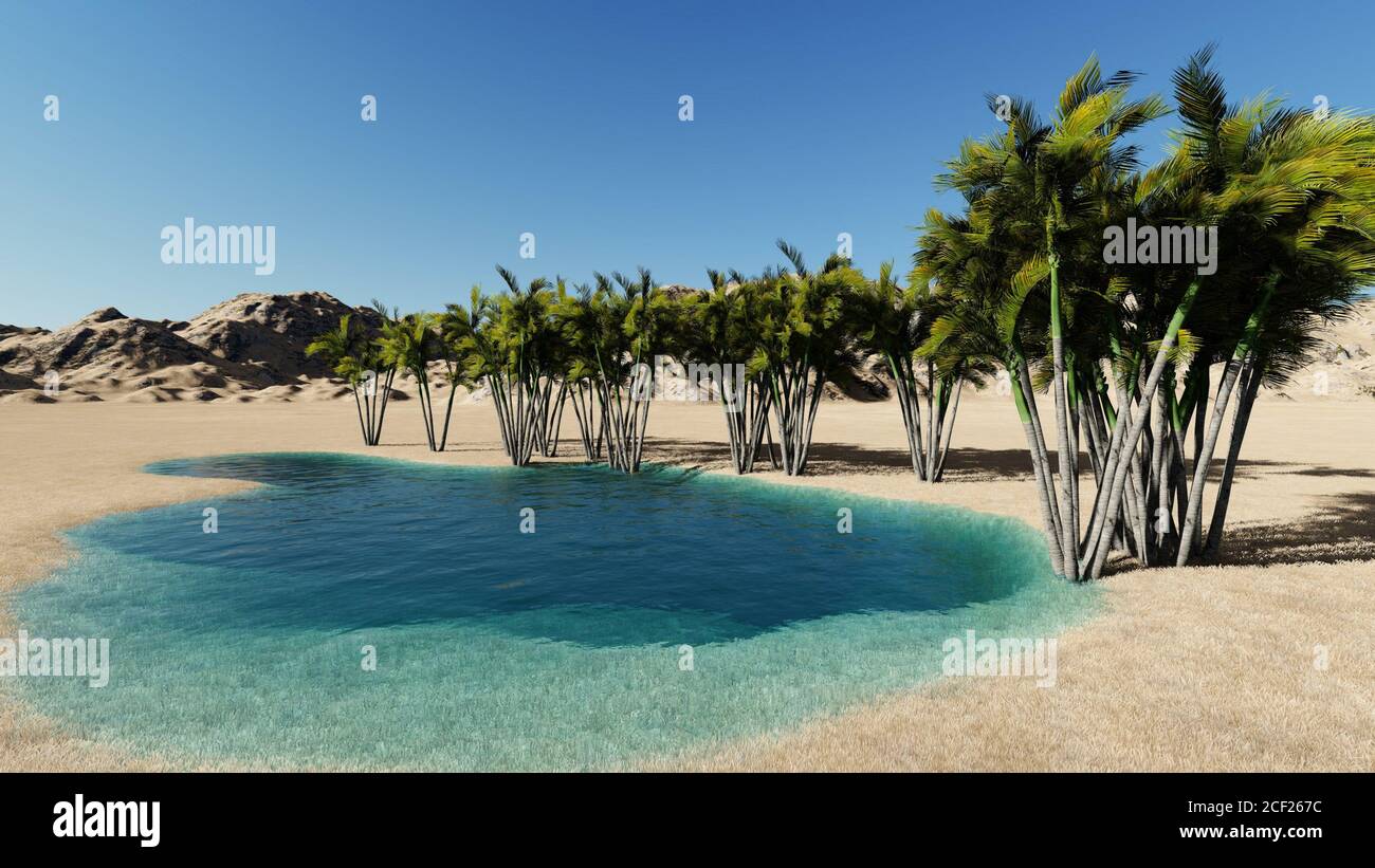 Desert oasis with grass hi-res stock photography and images - Alamy