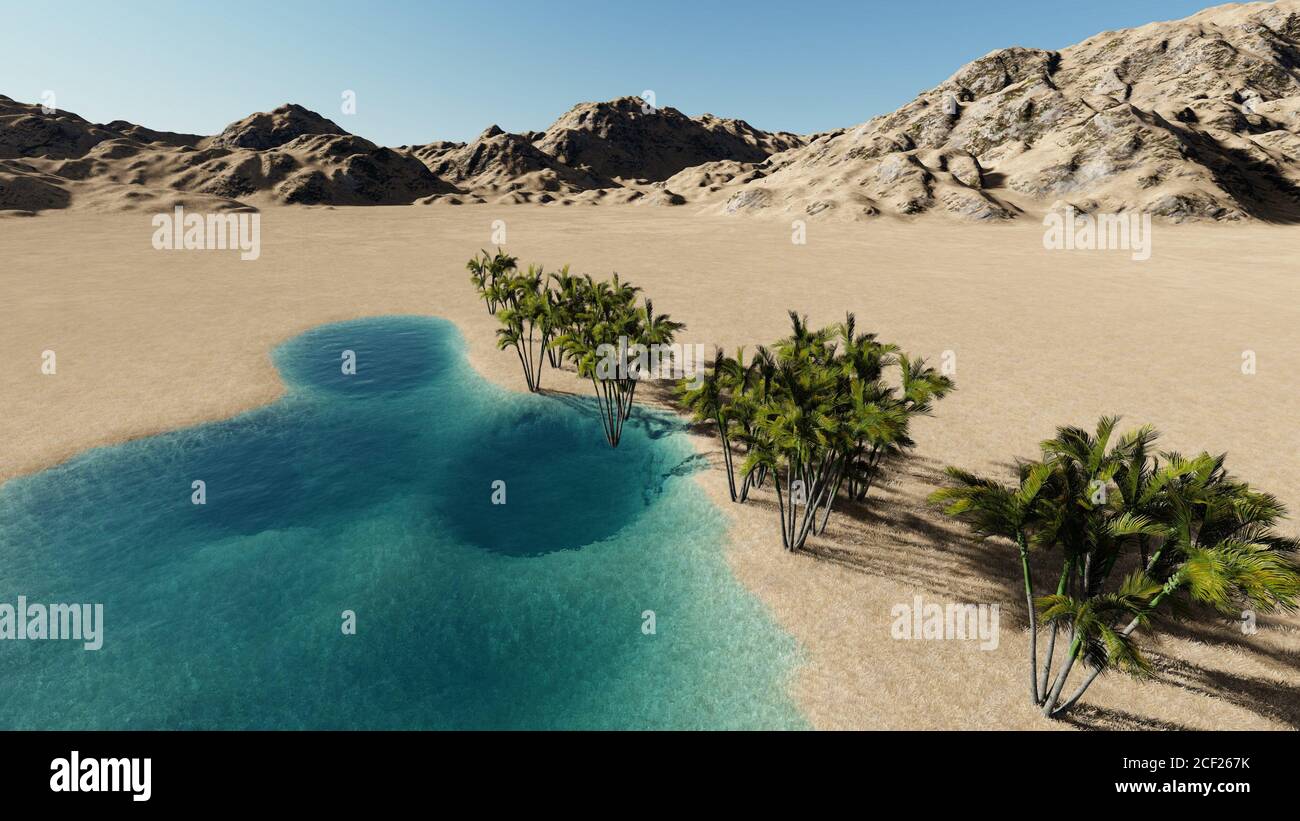 Desert oasis with grass hi-res stock photography and images - Alamy
