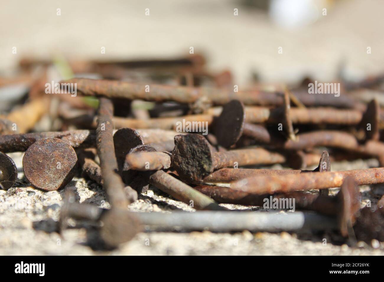 A pile of rusted nails laying on the ground Stock Photo - Alamy