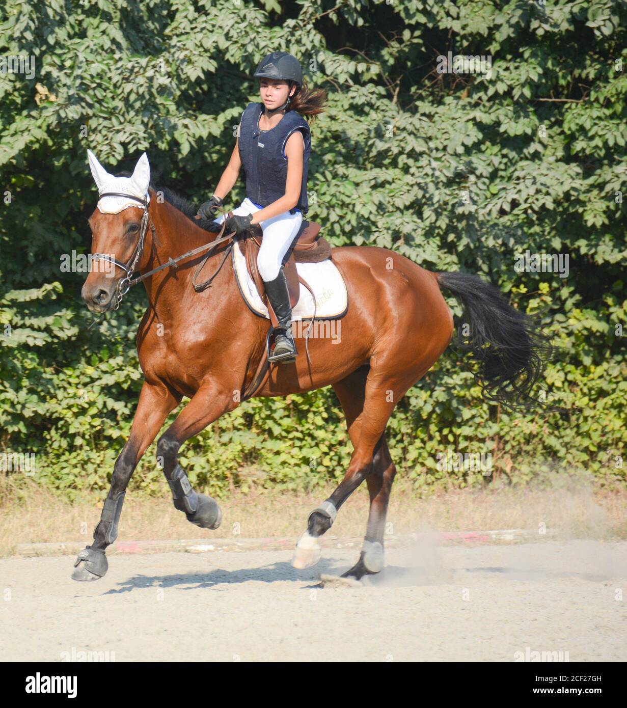Double oxer hi-res stock photography and images - Alamy