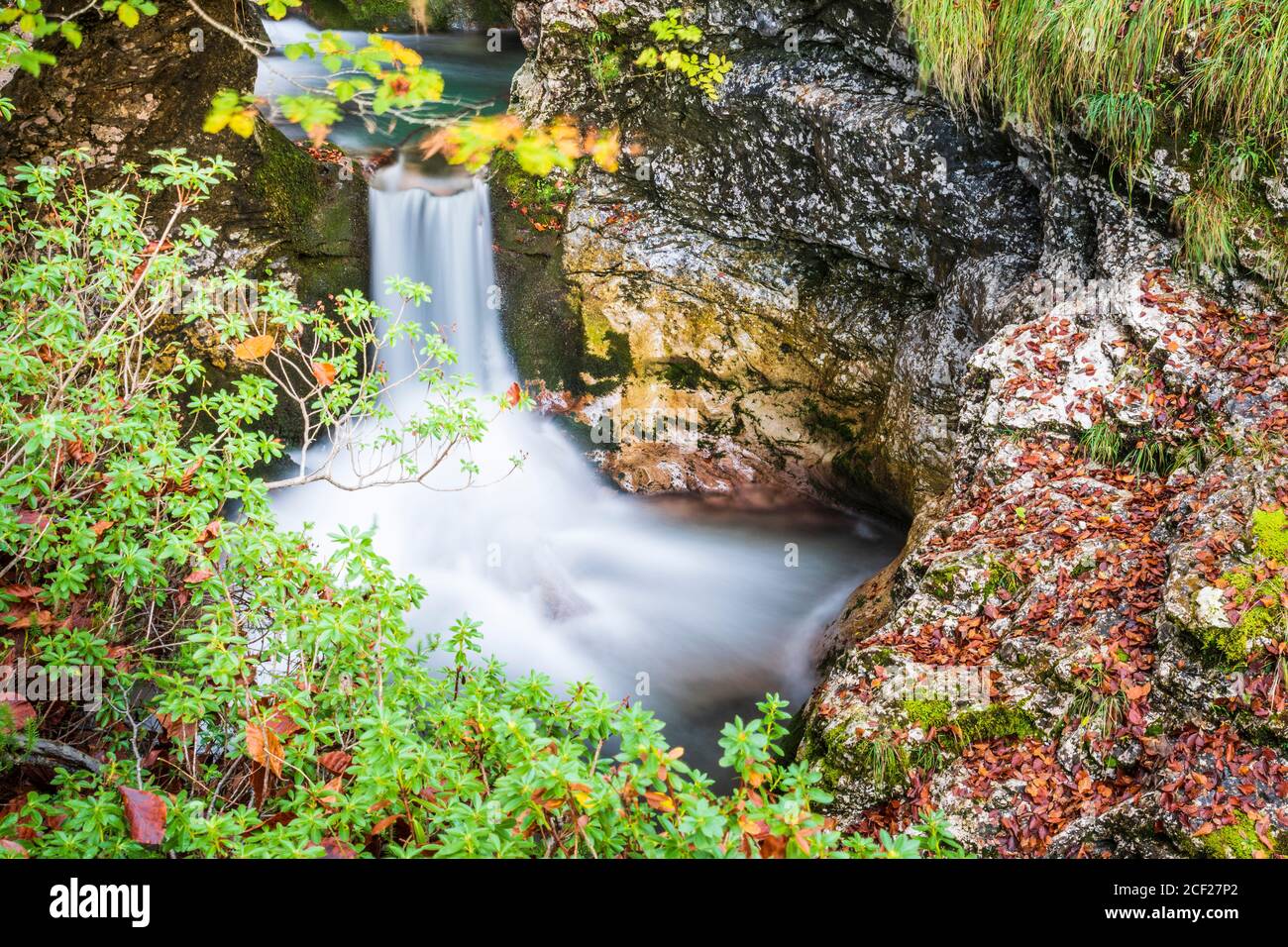 Autumn. Explosion of colors on the waterfalls and streams of the Val d ...