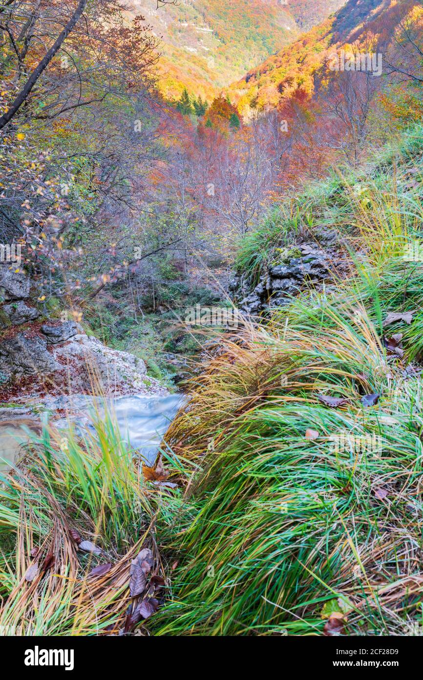 Autumn. Explosion of colors on the waterfalls and streams of the Val d ...