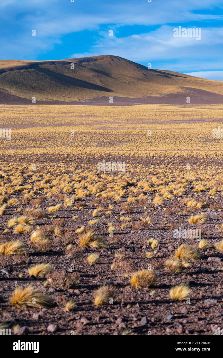 Puna desert hi-res stock photography and images - Alamy
