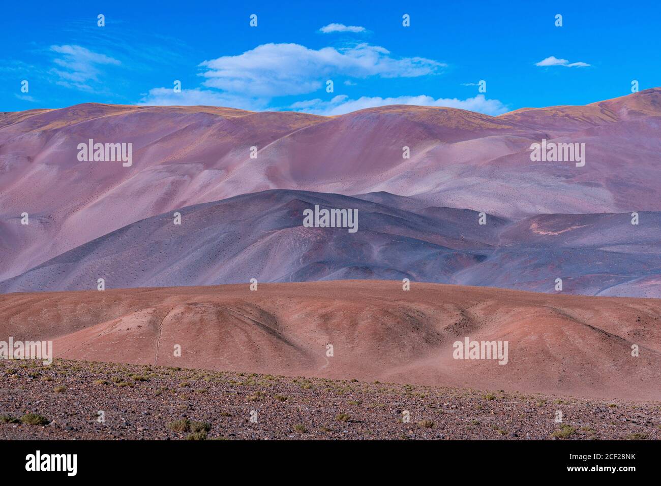 Puna desert hi-res stock photography and images - Alamy