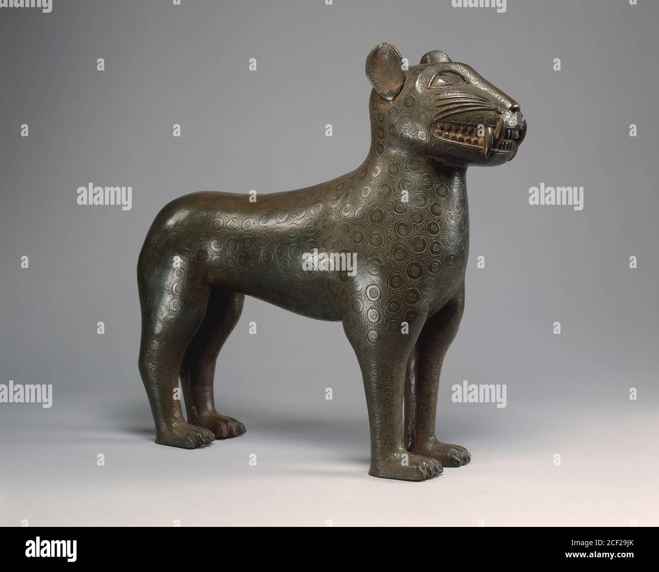 Benin leopard hi-res stock photography and images - Alamy